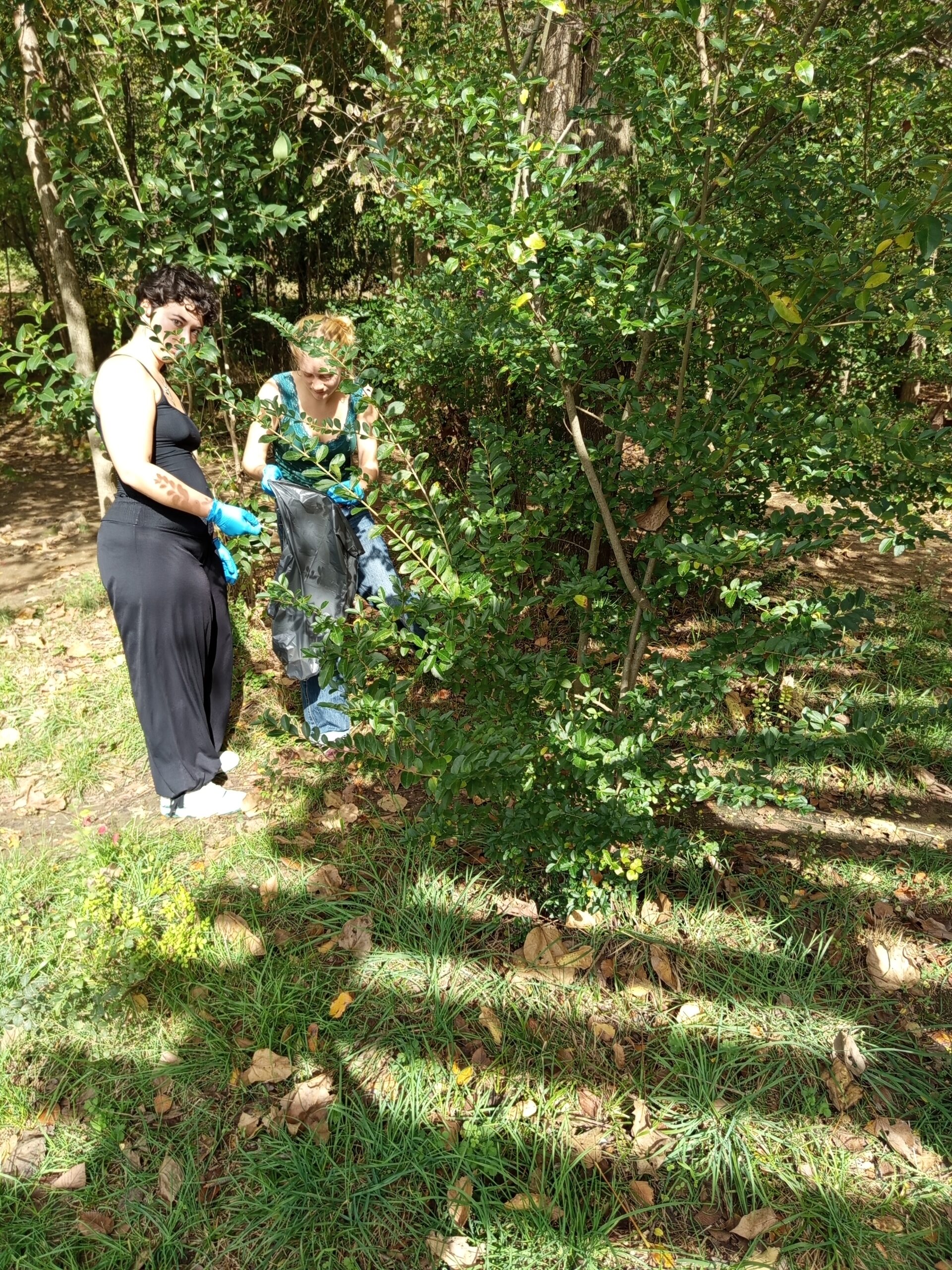 A New Youth-Led Tradition of Caring for Nature - Beyond Barriers